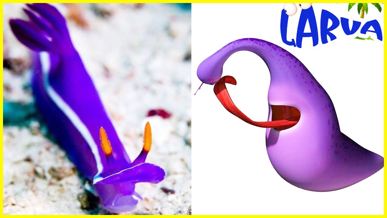 LARVA TUBA 🍎🐛🍎Purple worms in real life🍎🐛🍎 ẤU TRÙNG TINH NGHỊCH🍎🐛🍎LARVA ...