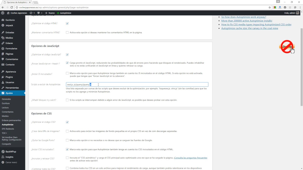 Configuración De Autoptimize Para Wordpress Youtube