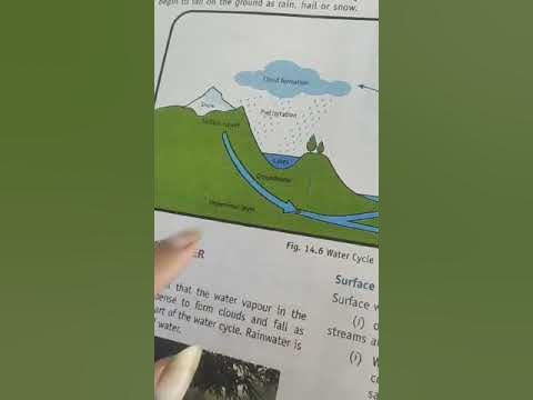 Water cycle class 6 science || conservation of water class 6 || class 6 ...