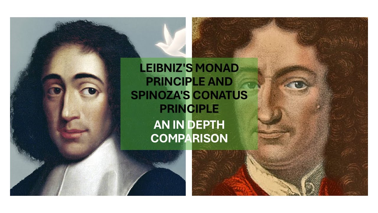 Leibniz's Monad Principle and Spinoza's Conatus Principle : An In Depth ...