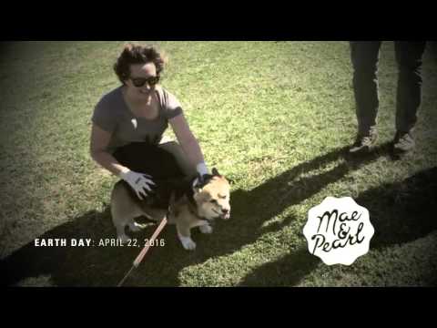 The Sarah Craw Collection - YouTube