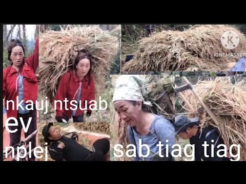 nkauj ntsuab ev nplej hnub no sab tiag tiag - YouTube