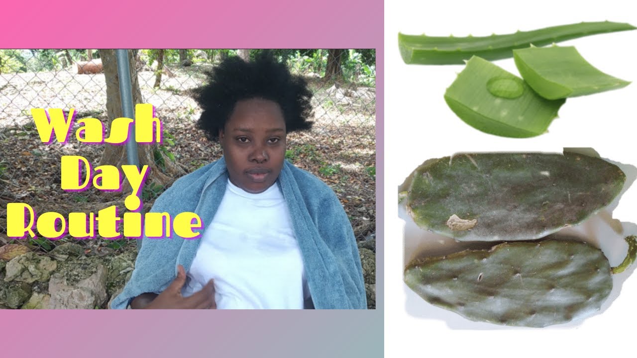 How To Aloe Vera And Tuna Plant For Hair Growth On Natural Hair Wash how-to-aloe-vera-and-tuna-plant-for-hair-growth-on-natural-hair-wash