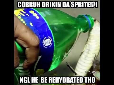 COBRUH DRIKIN DA SPRITE!?! - YouTube