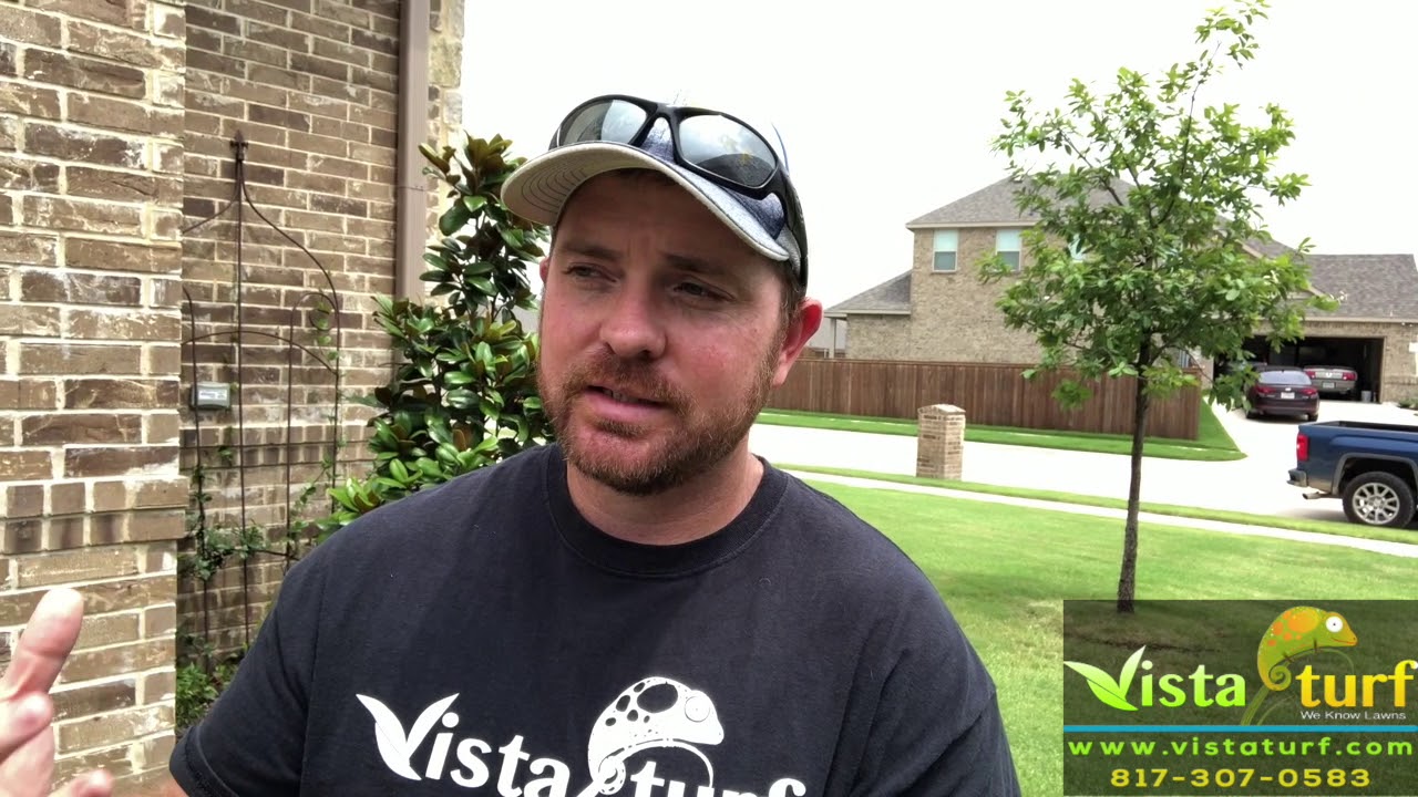 July lawn Care Recommendations YouTube July lawn Care Recommendations YouTube