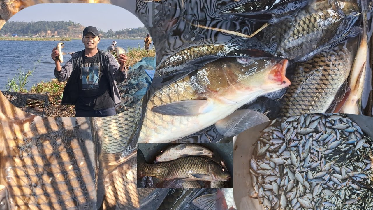 Catching Fish at Loktak Lake Manipur🥰🥰🥰 - YouTube