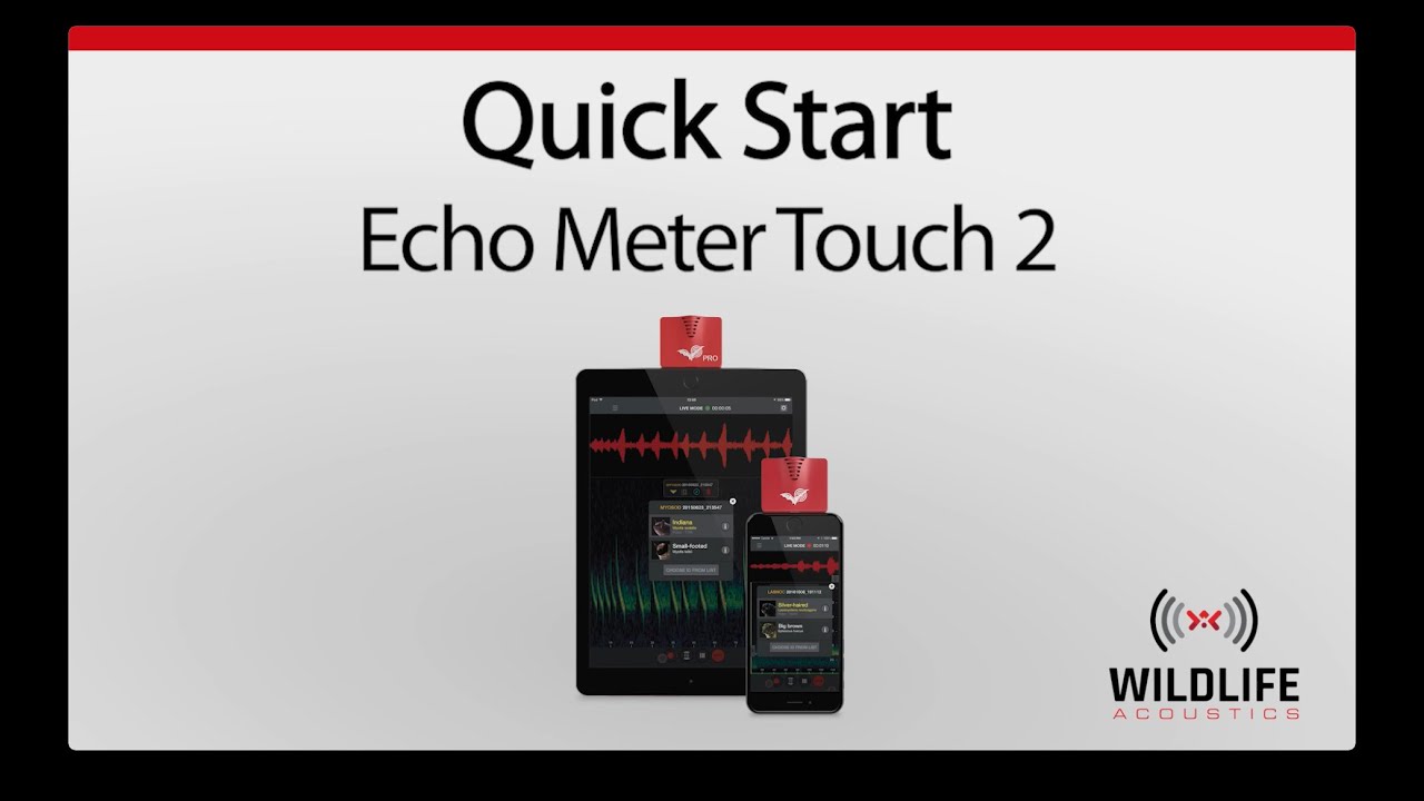 Echo Meter Touch 2 #1: Quick Start | Record Bat Sounds - YouTube
