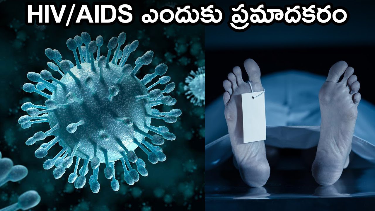 What Are HIV AIDS Facts About HIV In Telugu YouTube What Are HIV AIDS Facts About HIV In Telugu YouTube