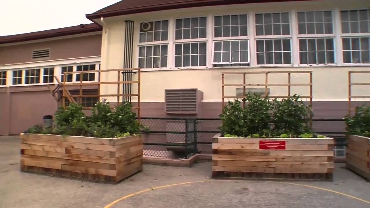 SPROUTING MINDS - YouTube