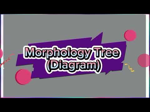Morphology Tree (Diagram). by: @JeanMarielEchaves(BAEL-1B) - YouTube