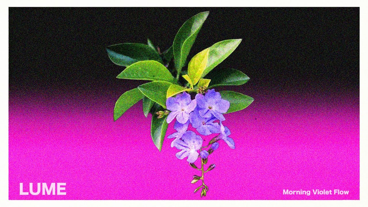 Morning Violet Flow | Chill House for a Positive Morning Vibe - YouTube
