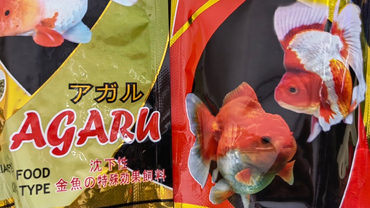 AGARU FLOATING DAN SINKING - YouTube