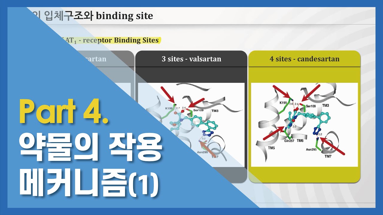 Part 4 약물의 작용 메커니즘 1 Youtube