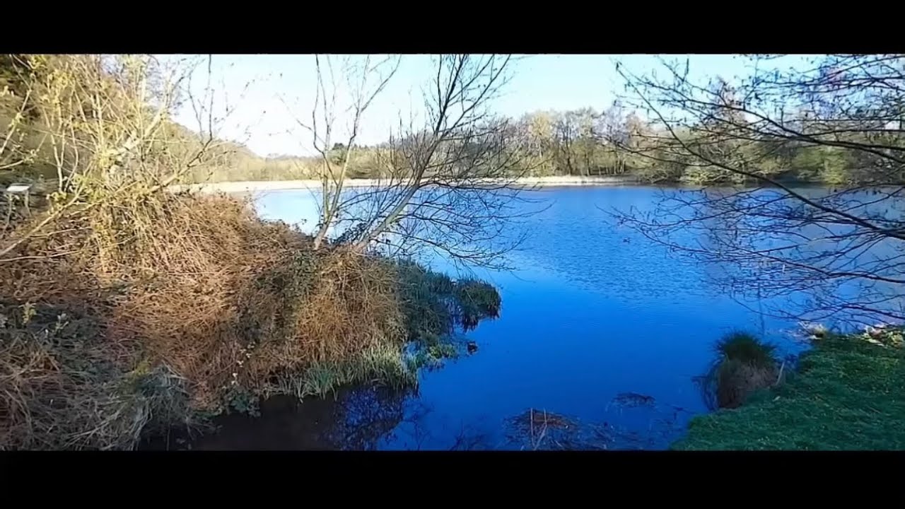 Hurcott Woods - CineMadics - YouTube