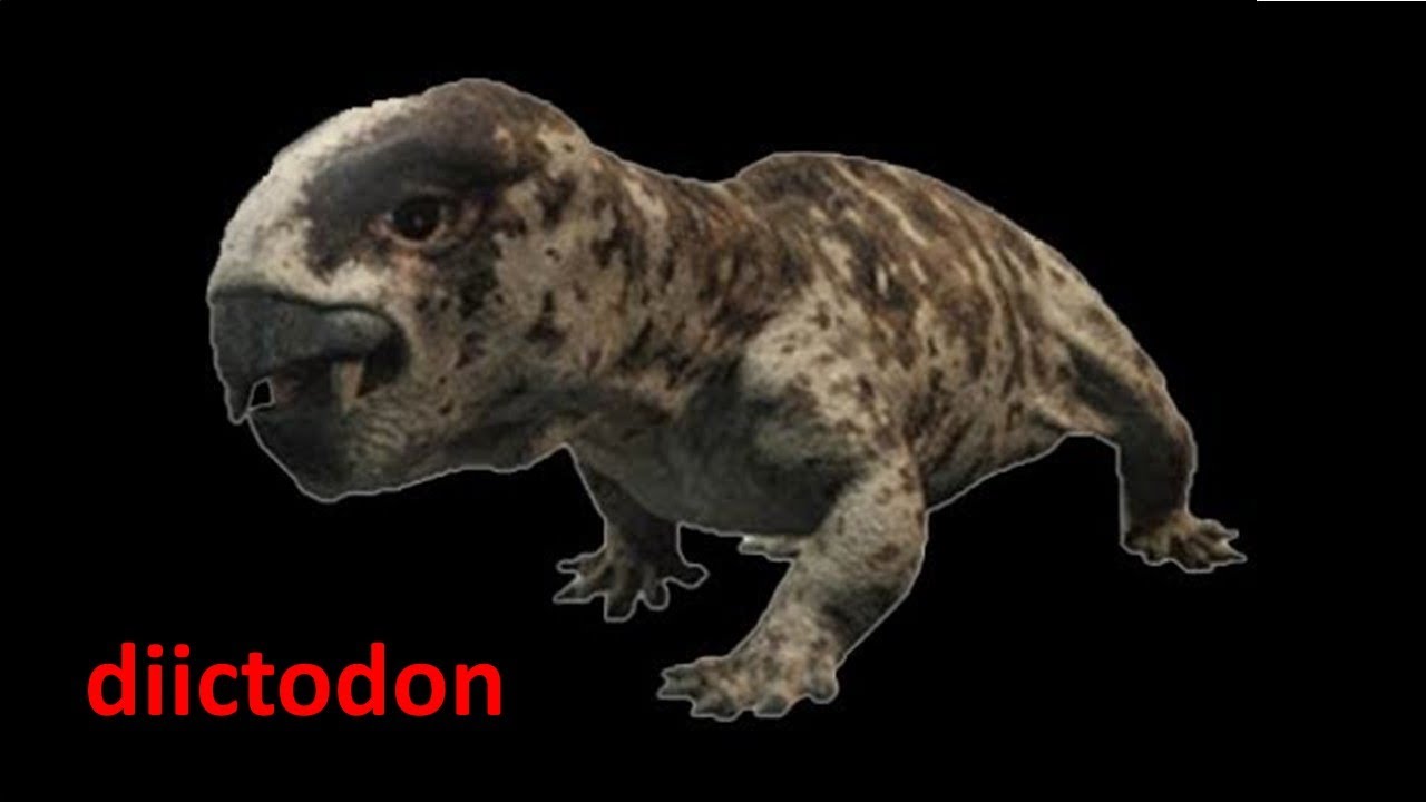 diictodon - YouTube