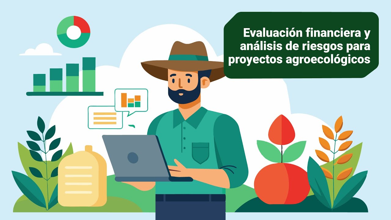 Evaluación financiera y análisis de riesgos para proyectos ...