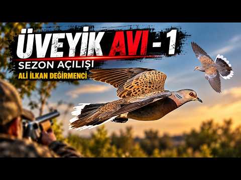 Üveyik Avı - 1 | Sezon Açılışı | 2026-2027 Av Sezonu #ÜveyikAvı #Üveyik #Hunting #turtledoves