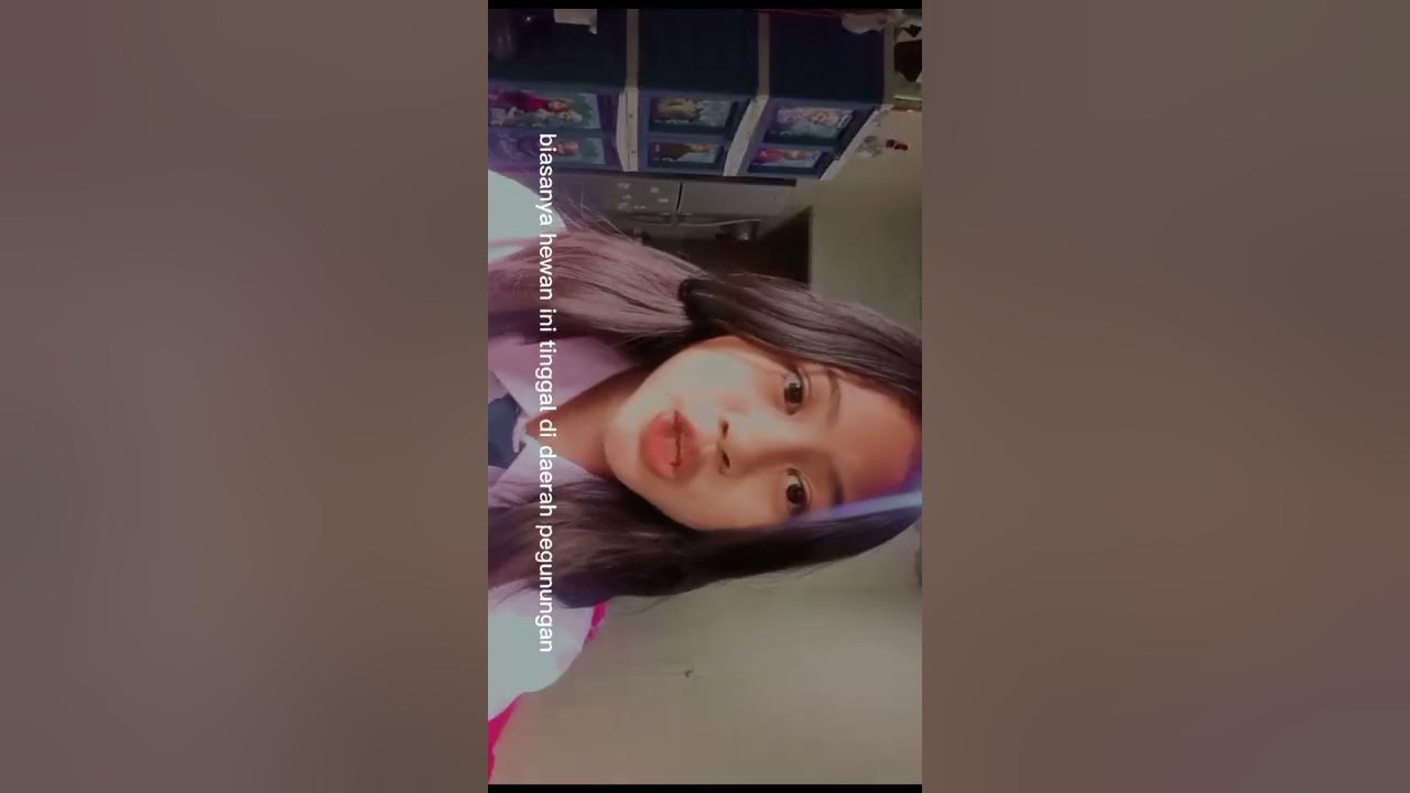 Khezia_Proyek.Kolaborasi_Teks Deskripsi - YouTube