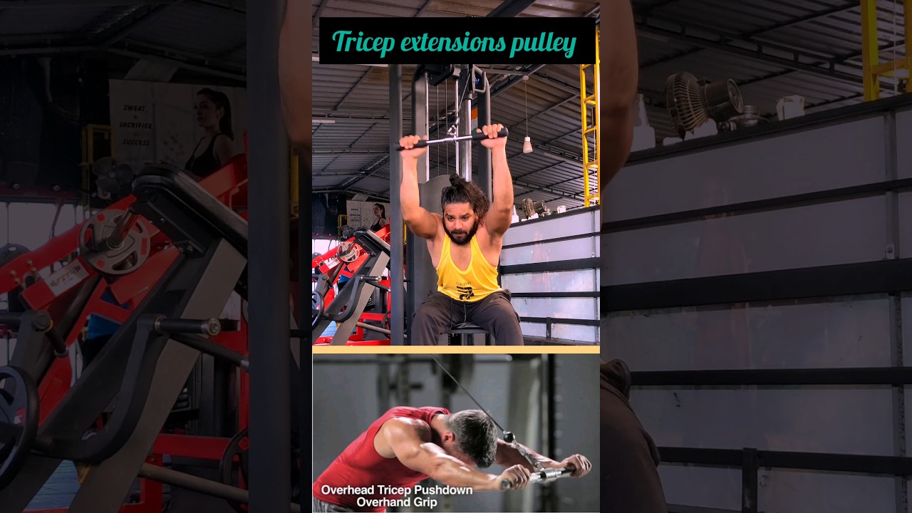 behind the neck shoulder + triceps exercise with pulley #youtubeshorts ...