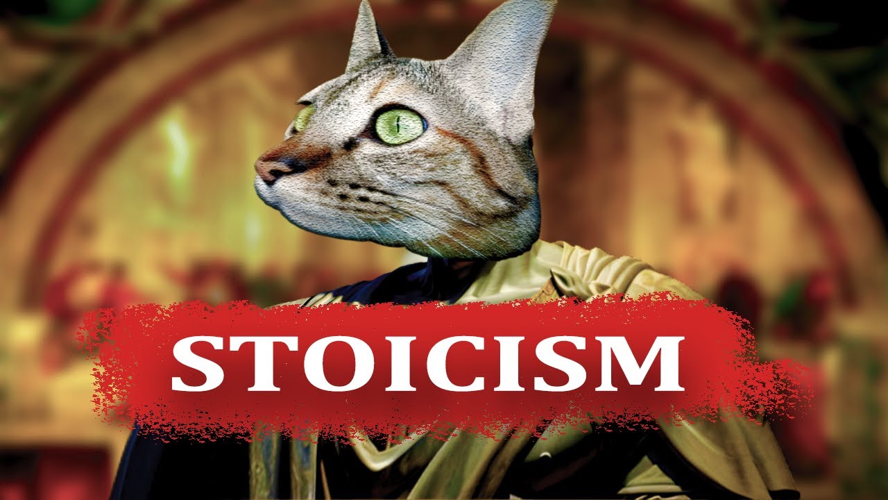 Stoicism Explained Using Only Cat Memes - YouTube