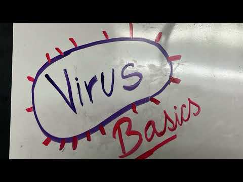 DNA, Transcription, Translation, Virus Basics (TD, ML, TS)