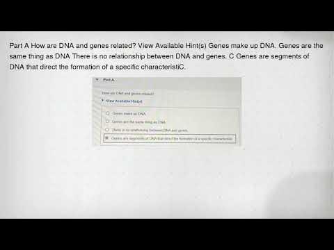Part A How are DNA and genes related? View Available Hint(s) Genes make up DNA. Genes are the ...