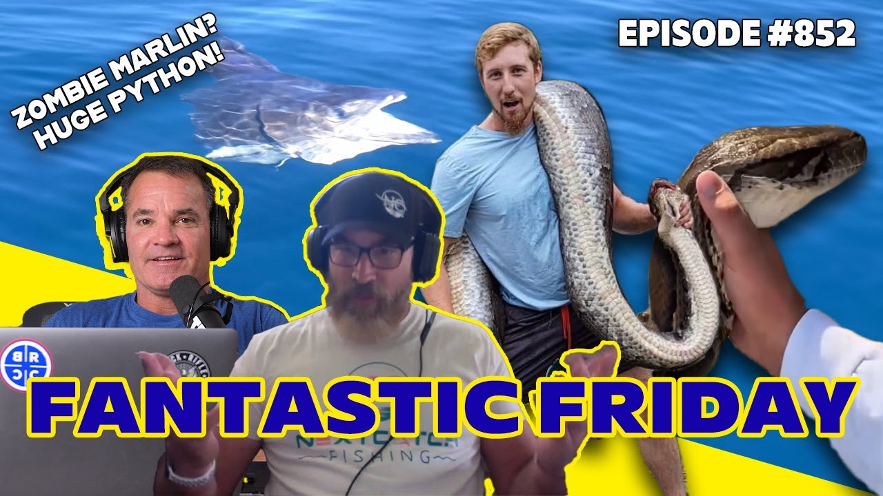 Fantastic Friday! Zombie Marlin and Monster Pythons! - YouTube