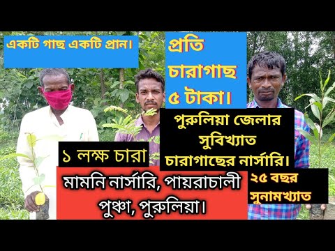 Plant Nursery in Purulia. - YouTube