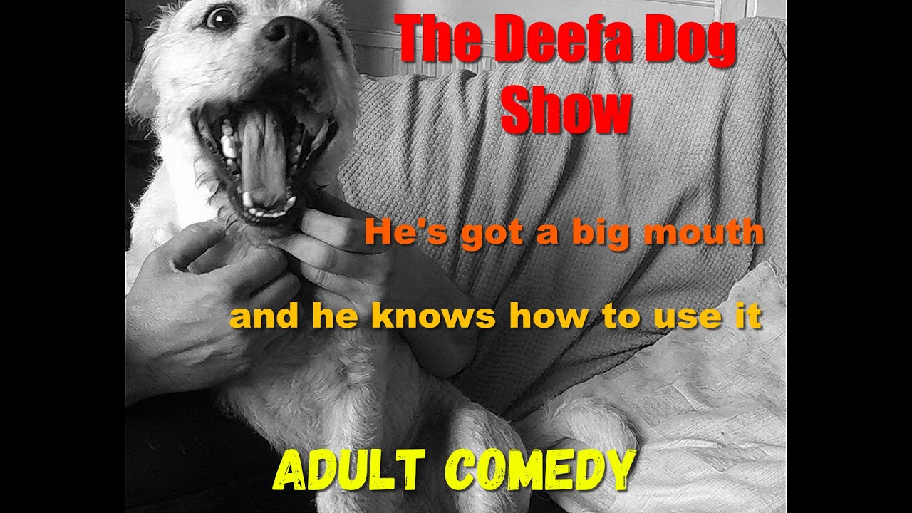 The Deefa Dog Sketch Show - YouTube