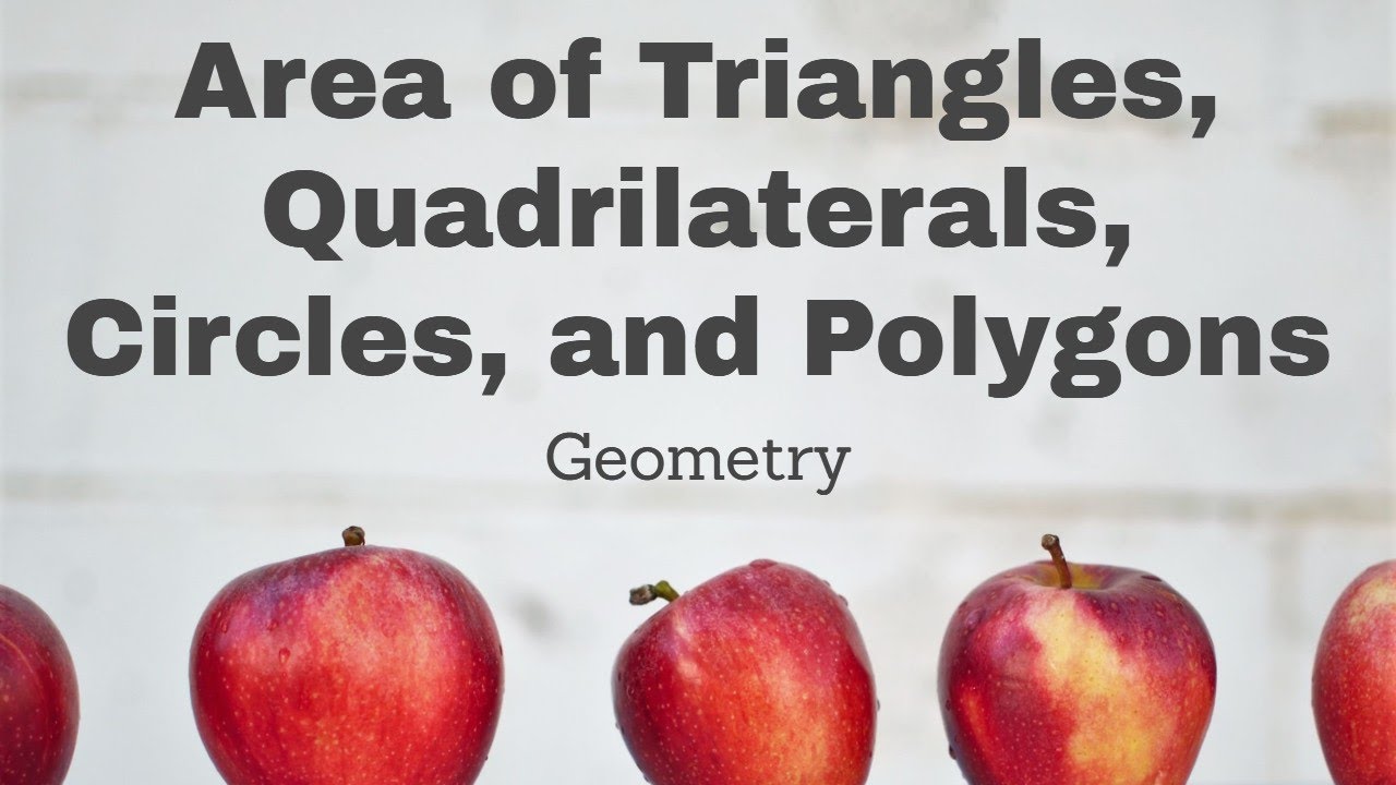 Area of Triangles, Quadrilaterals, Circles, and Polygons - YouTube