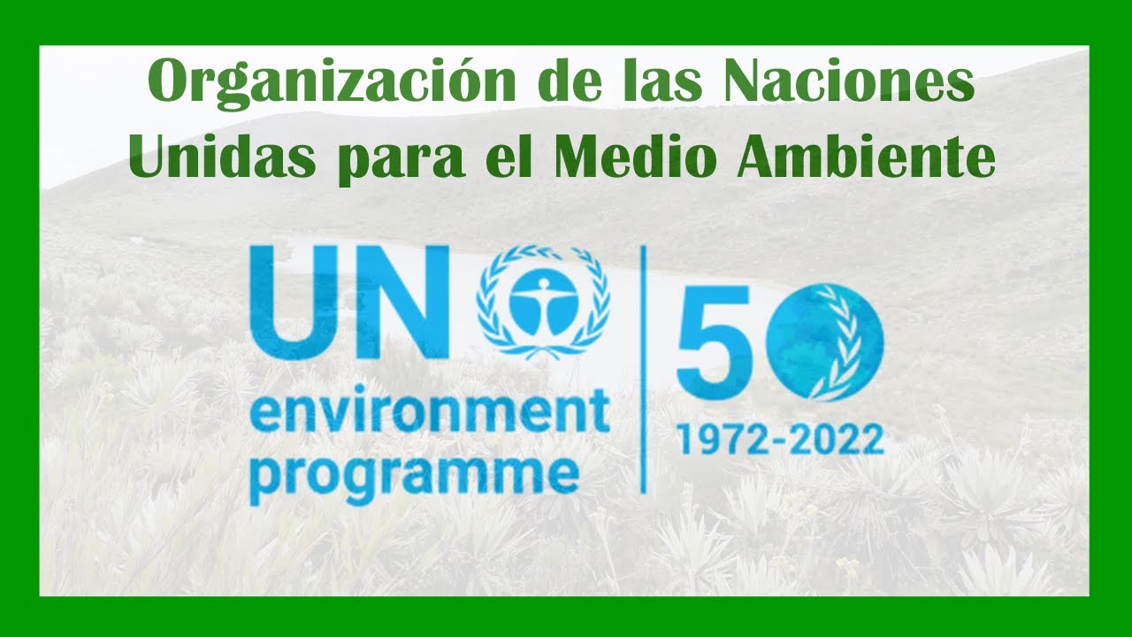 Programa de las Naciones Unidas para el Medio Ambiente (PNUMA) - YouTube