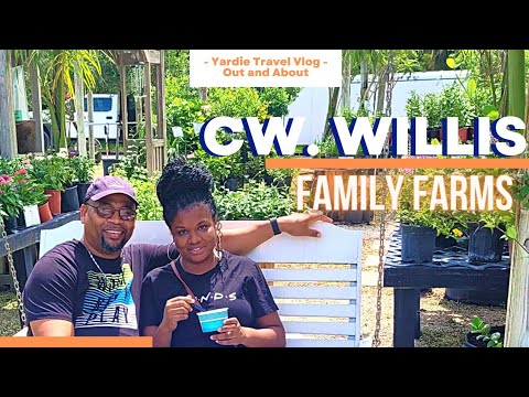 WE VISITED THE CW WILLIS FAMILY FARM IN VERO BEACH FLORIDA | OUT AND ...