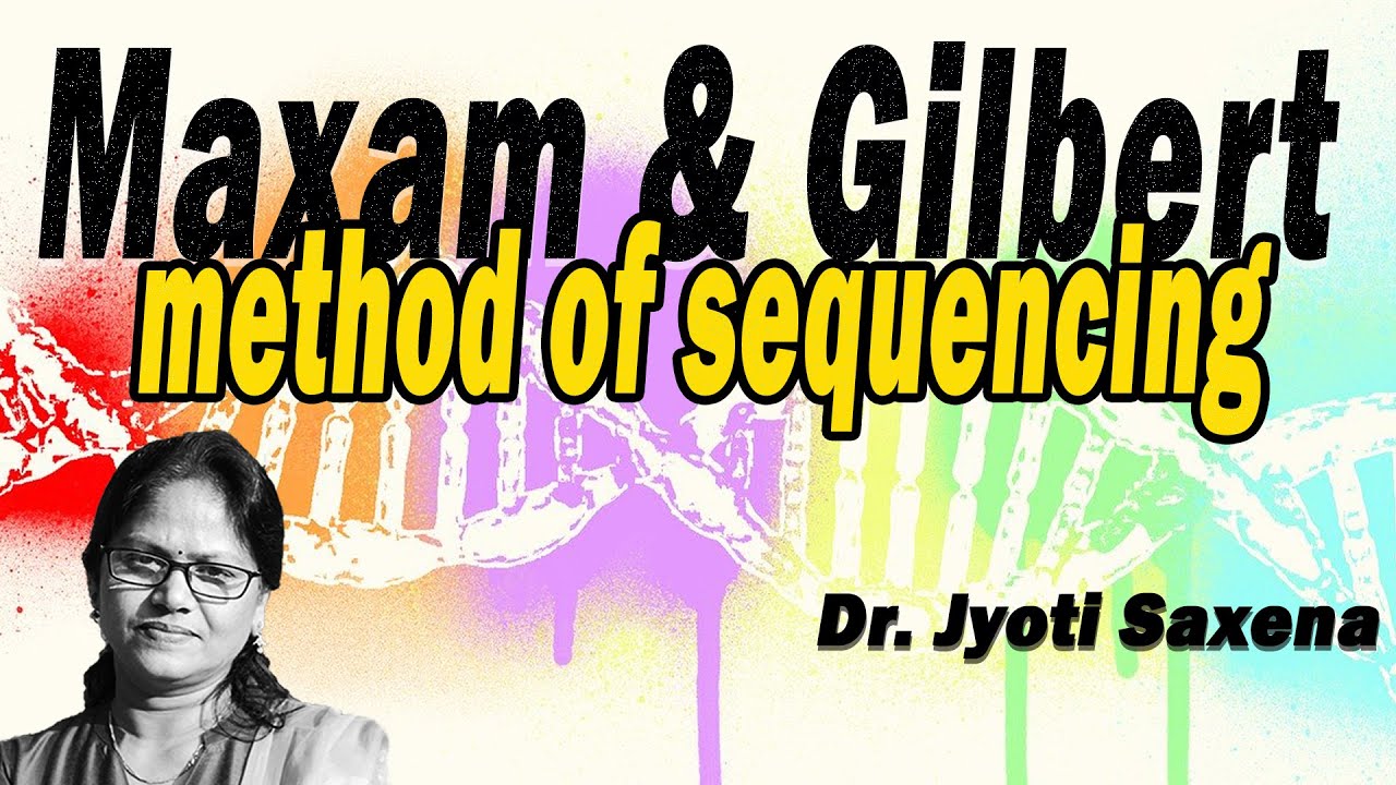 Maxam & Gilbert Method Of DNA Sequencing || Biotech Made Easy || CSIR ...