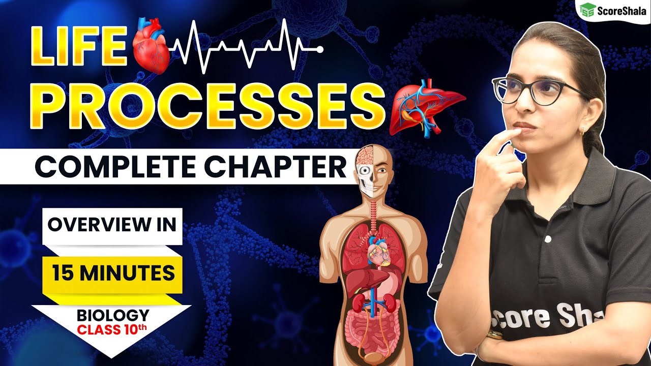 Life Processes One Shot Revision Class 10 - In 15 MINUTES | Ncert 2023 ...