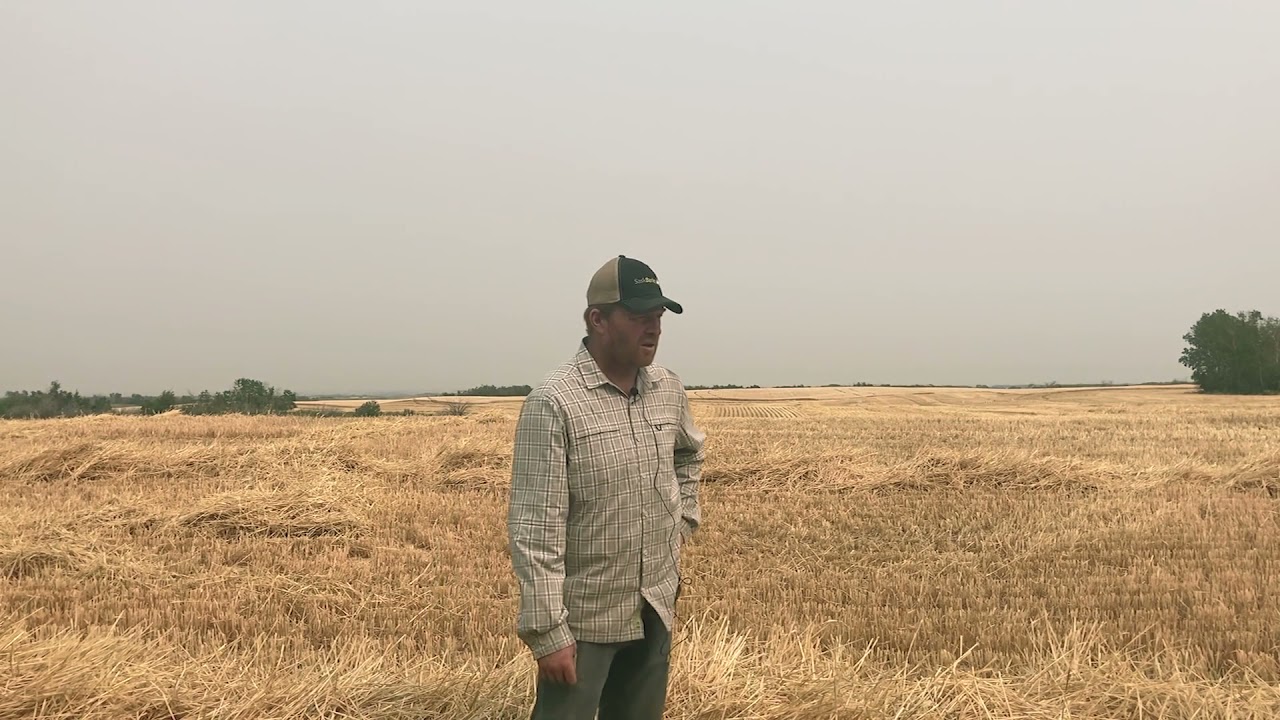 Leaving Stubble On Your Fields After Harvest - YouTube