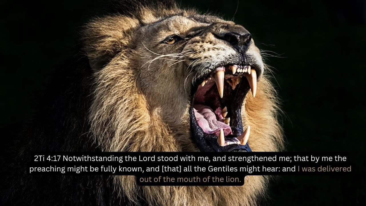 CES Member Renee Roland is a False "Grace" Trinitarian Works ...