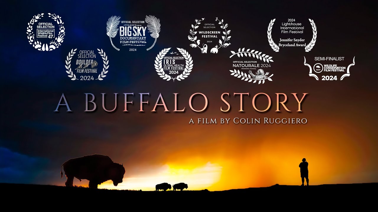 A BUFFALO STORY_OFFICIAL TRAILER - YouTube