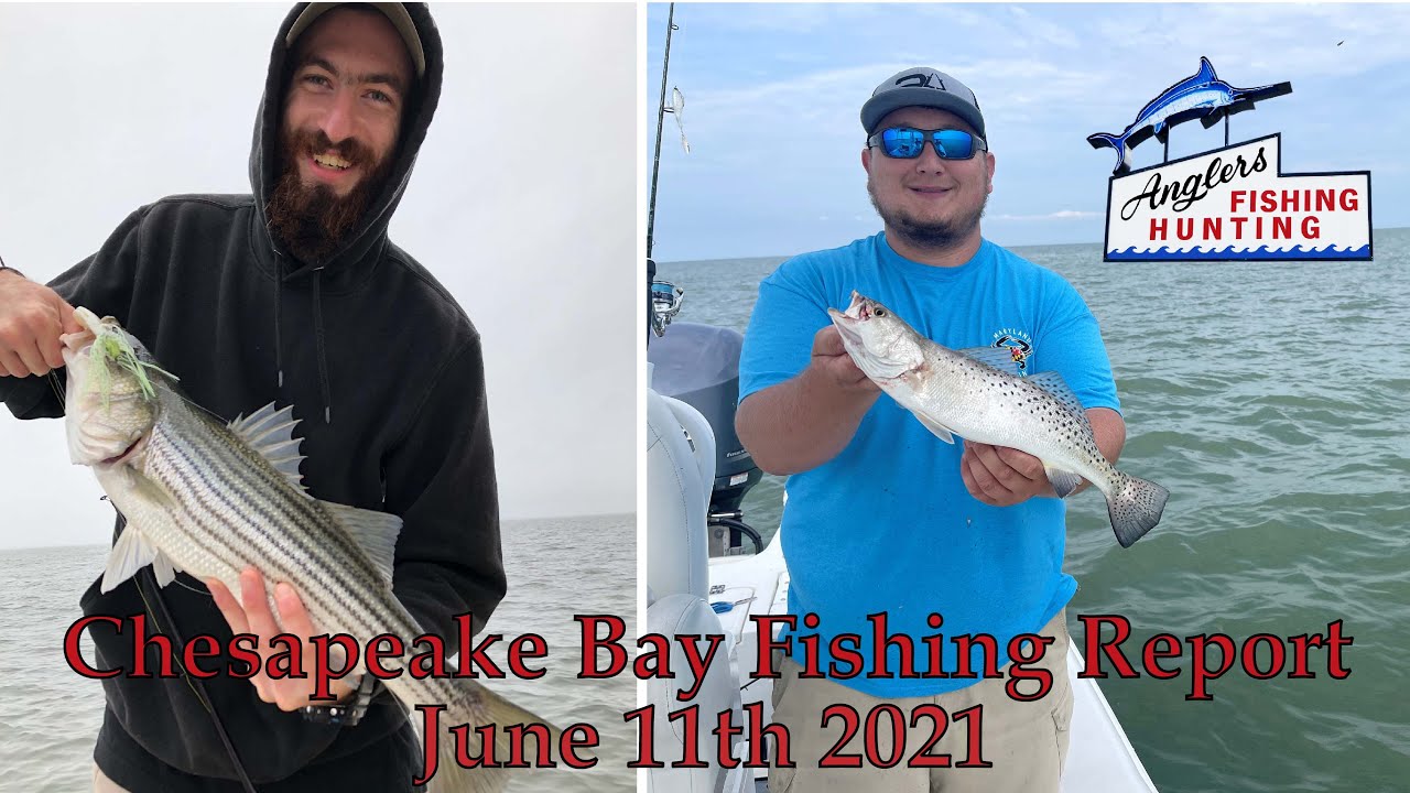 Chesapeake Bay Fishing Report: June 11th 2021 - YouTube