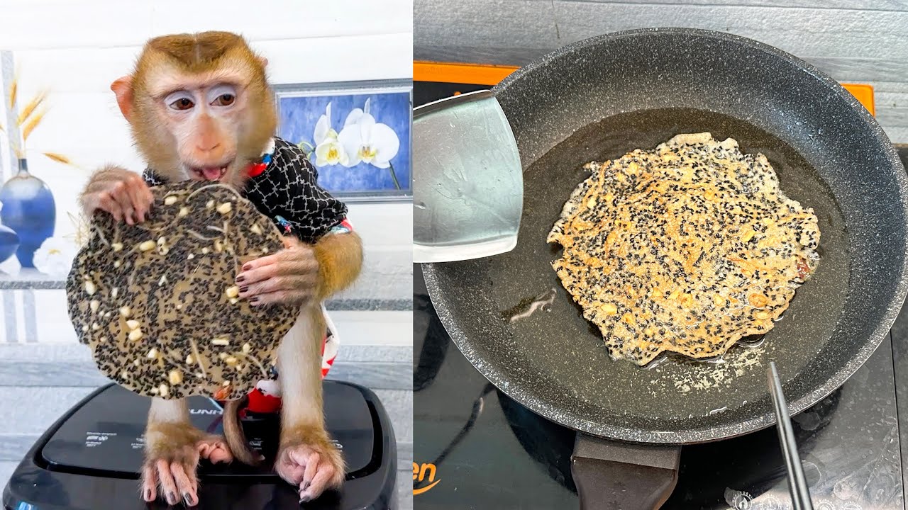 Taste the Love: Monkey Kaka and Monkey Mit's Favorite Fried Coconut ...