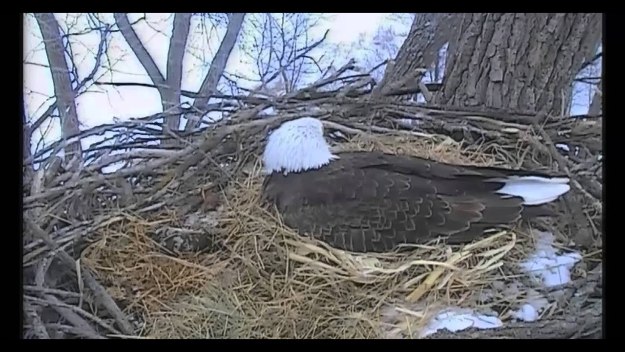 2014 03 08 6 53 11 Mom Vocalizing and Posturizing - YouTube