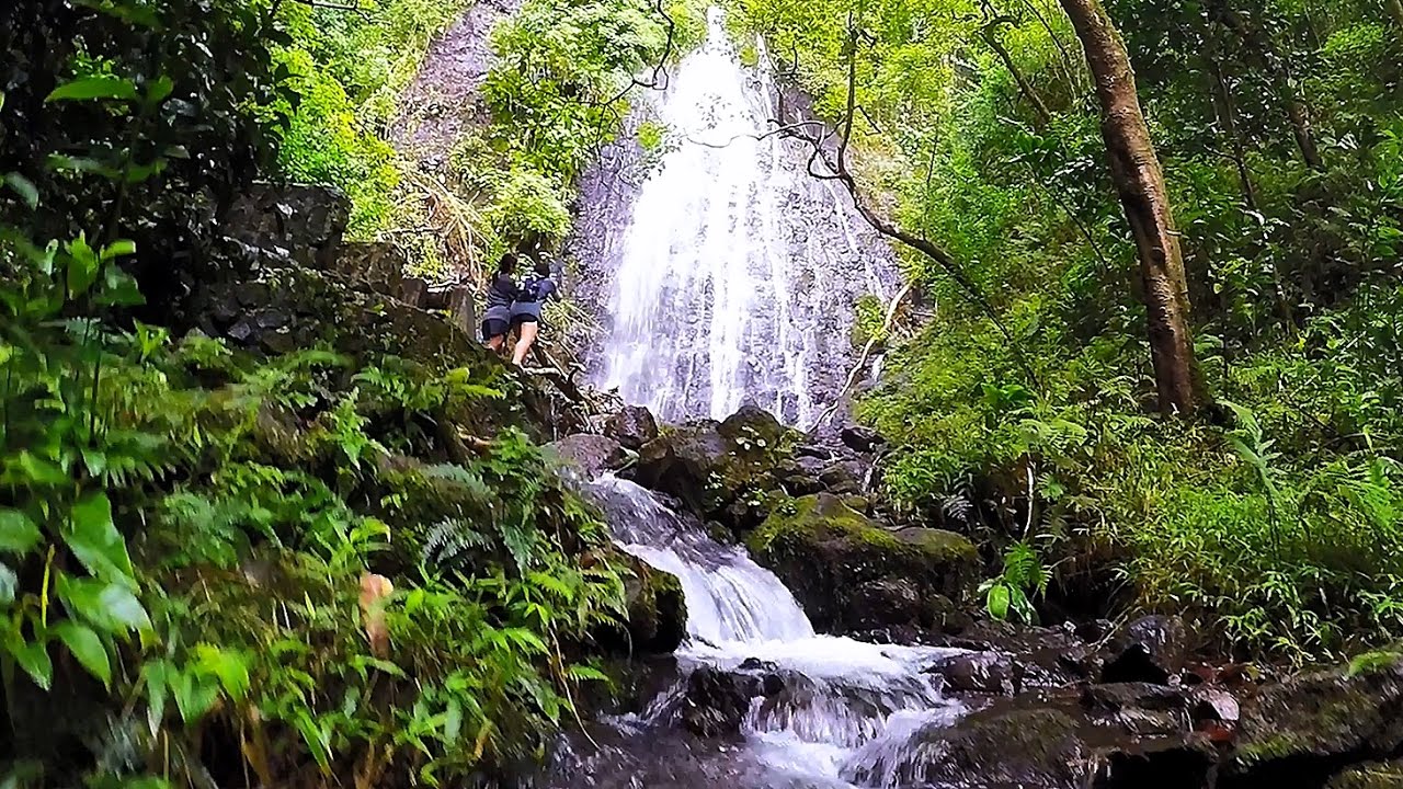 Hamama Falls Hike, Kahalu'u, Oahu, Hawaii (GoPro 4 Silver) - YouTube