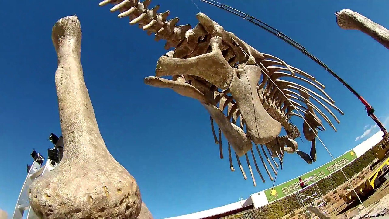 Montaje esqueleto Turiasaurus riodevensis en Dinópolis - YouTube
