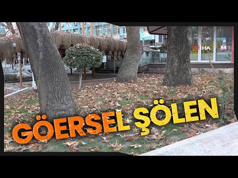 Caddelere Dökülen Yapraklar Geride Eşsiz Manzara Bıraktı