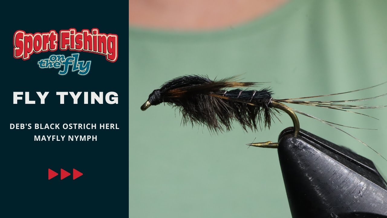 FLY TYING: DEB'S BLACK OSTRICH HERL MAYFLY NYMPH - YouTube