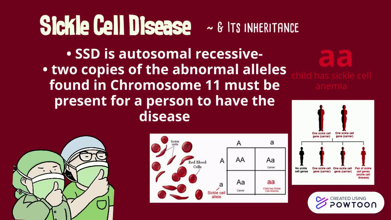 Sickle Cell Disease | Biology Project - YouTube