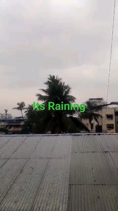 1st Mar24 morning it's raining in Dombivali #raining #rain - YouTube