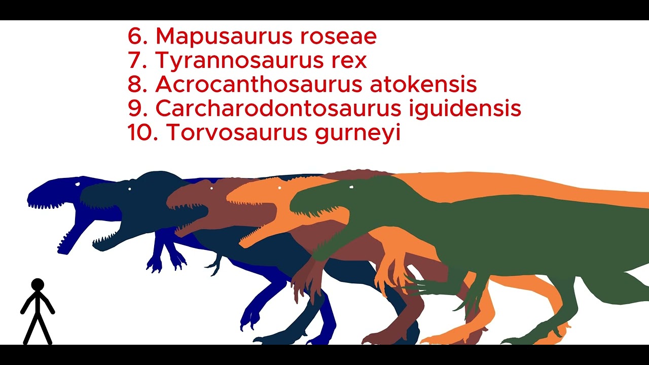 Carnivorous dinosaurs size comparison 1 - YouTube