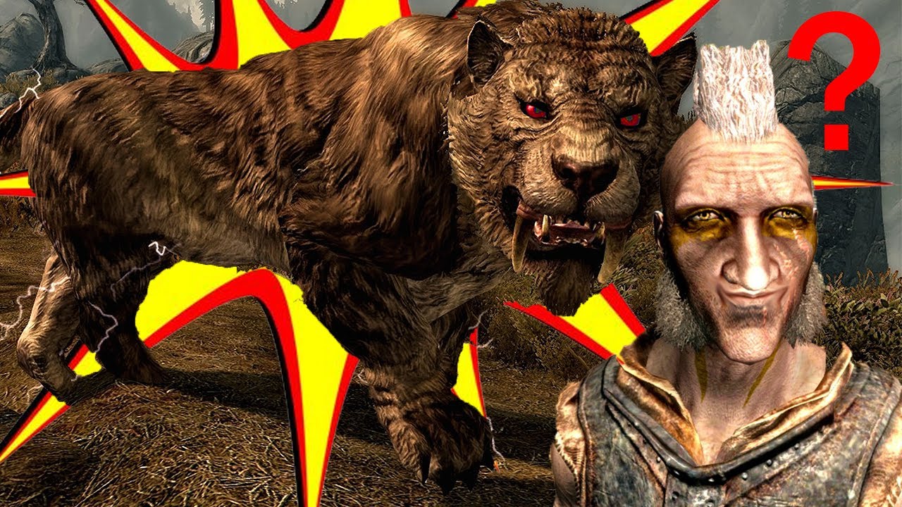 Skyrim Sabre Cat 360 Claps Me - YouTube
