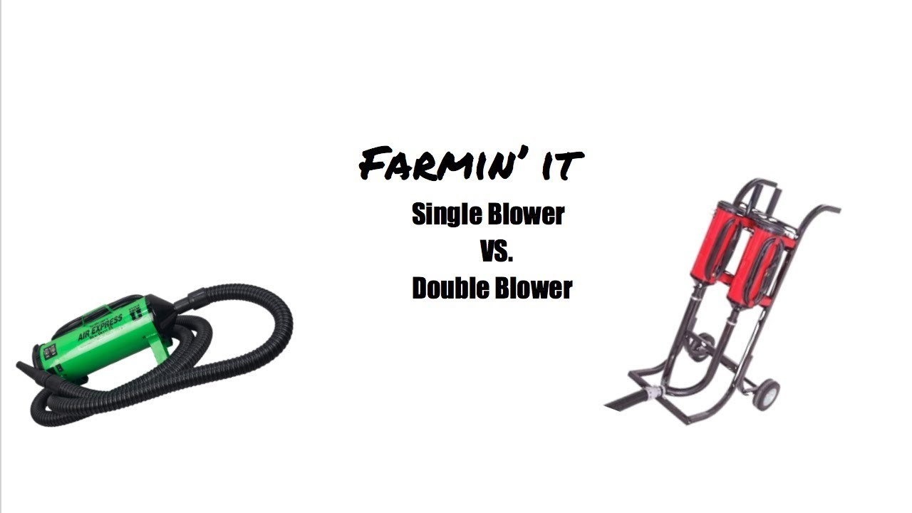 Cattle: Single Blower VS. Double Blower - YouTube