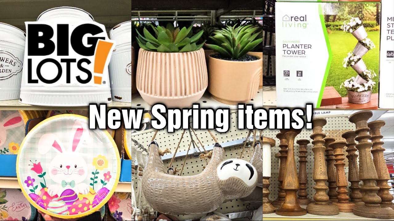 BIG LOTS! NEW Spring Items! - YouTube
